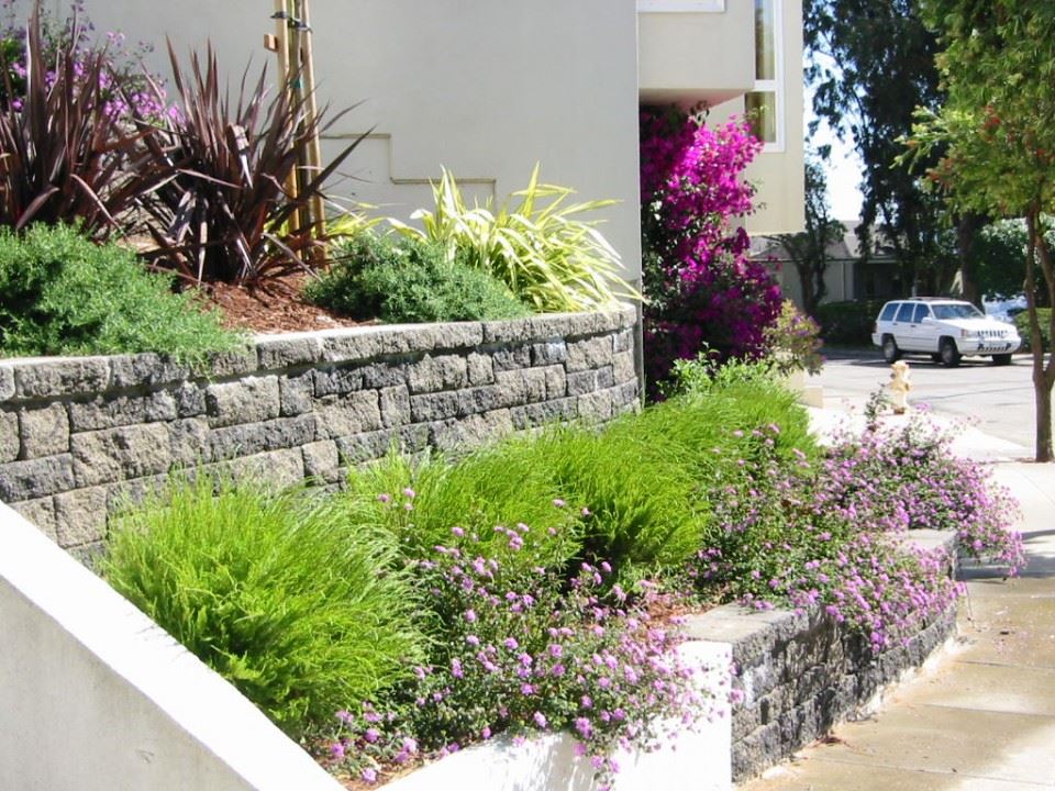 Landscaping for Hilly Backyards: Bernal Heights | Tamate Landscaping