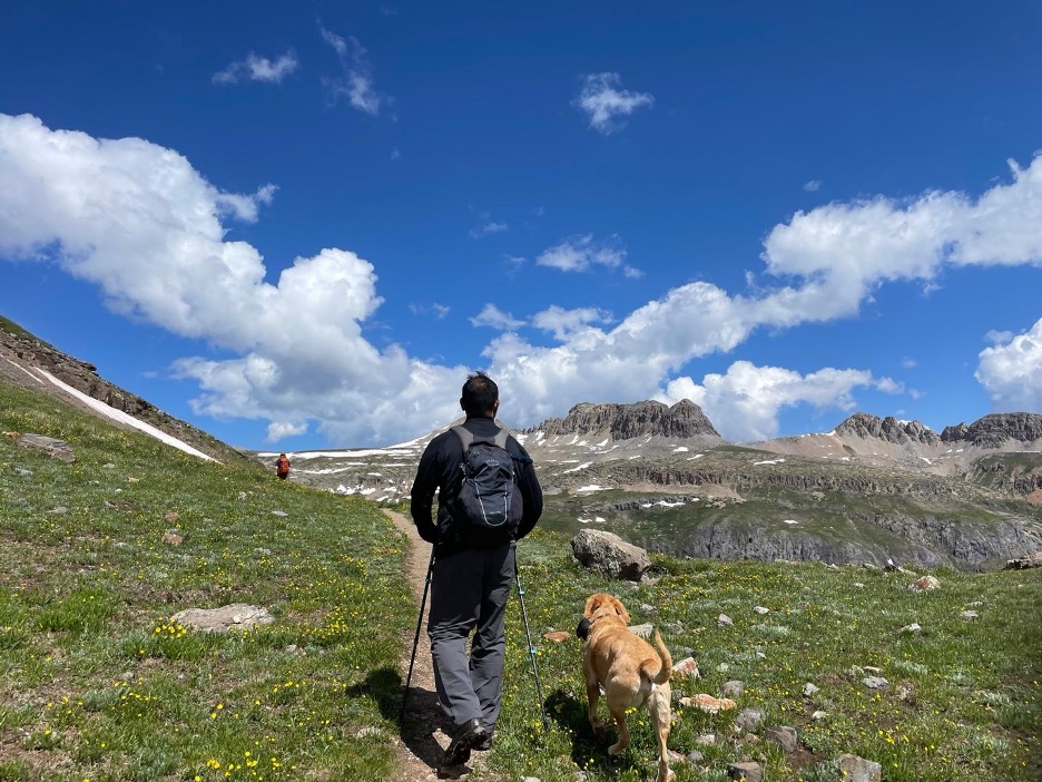 Return of Tamate Landscaping - Tamate Landscaping