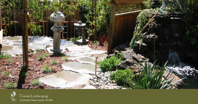 Introducing Sustainable Landscape Practices for Your Garden